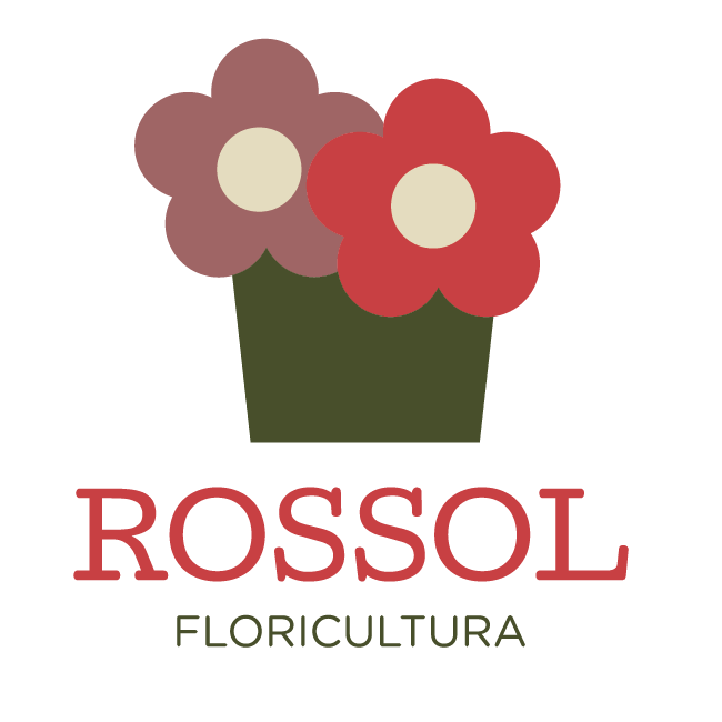 Romântico - Floricultura Rossol